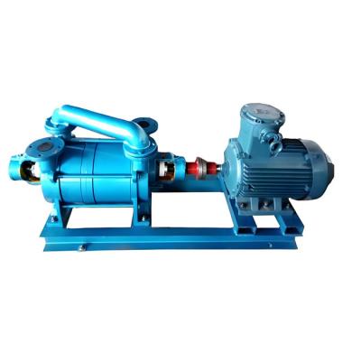 China 380V 2BV Series Water Ring Vacuum Pump with Rotor Diameter 300-1480mm Te koop