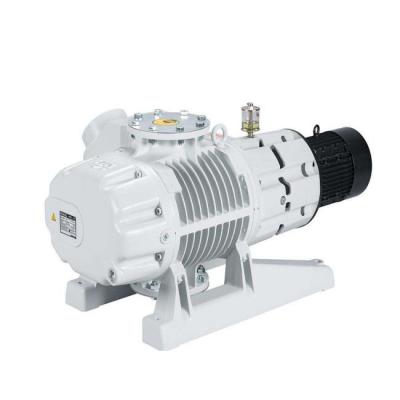 Cina Energy-Saving Roots Vacuum Pump For Ethanol Gas Extraction in vendita