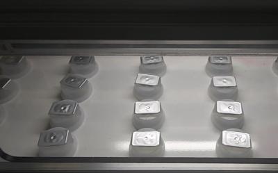 Cina Macchina di assemblaggio Euro Cap per l'assemblaggio automatico di tappi di foglio facile da pelare per sacchetti e bottiglie di perfusione per via endovenosa in vendita