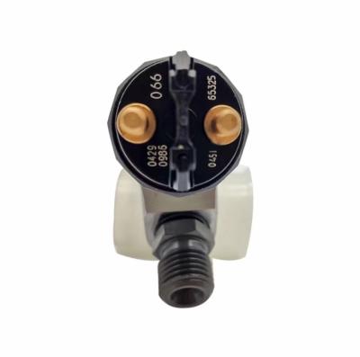 Cina Iniezione di carburante per escavatore 0445120066 per motore diesel Deutz Tcd2013 Common Rail 1KG in vendita