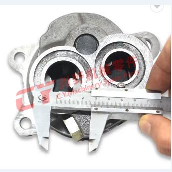 Cina Escavatore standard Oil Pump 6D125 6151-51-1005 di colore in vendita