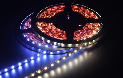 Cina Bianco Zig Zag Led Strip 72leds/Meter 12v 24v S Forma per la pubblicità in vendita
