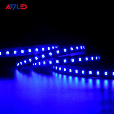 Cina luce di striscia di 10mm SMD 2835 LED Dimmable IP20 IP65 IP67 IP68 in vendita