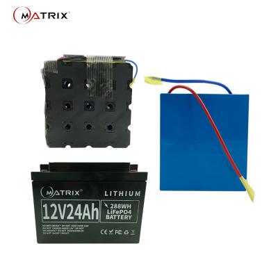 Cina 12 batteria del Profondo-ciclo dello Litio-ione Lifepo4 di volt 24ah per i server dei computer in vendita