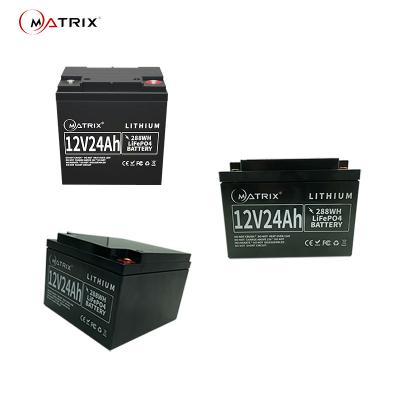 Cina batteria 12V24Ah delle cellule del grado 3.2V Lifepo4 del Profondo-ciclo per i cicli iniziali di sostegno dei server in vendita
