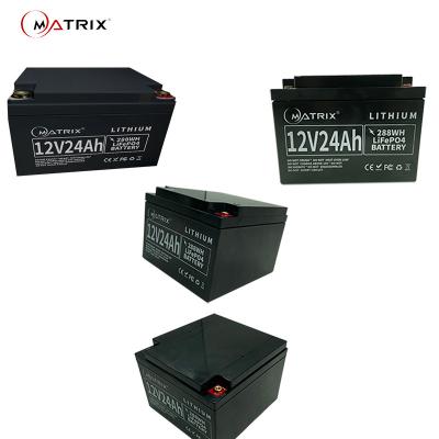 Cina potere di sostegno dei server della sostituzione di SLA della batteria al litio di immagazzinamento dell'energia 12V24Ah in vendita