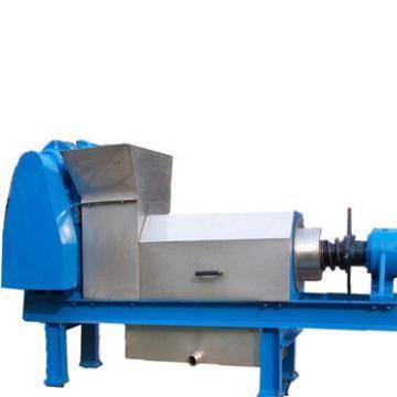 China slow juice extractor , cold press of fruit juicer juice processing plant for sale