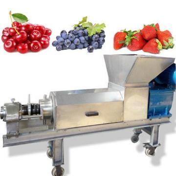 China circular Mesh fruit and vegetable pulp press machine for sale
