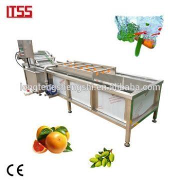 China Factory supply vegetable washing machine add pictures pickled vegetables packing company for sale