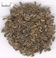 China Arctiin Extract, 40% HPLC, high quality, treat cancer,fight against acne, Manufacturer, Shaanxi Yongyuan Bio-Tech for sale
