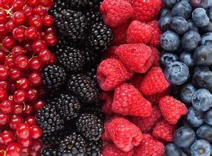 China natural Blackberry Extract,  herbal ingredients, fruit powder, High quality, Chinese manufacture, Shaanxi Yongyuan for sale