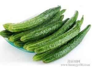 China Cucumber Extract Enhance immunity, delaying aging  Chinese Manufacturer Yongyuan Bio-Tech for sale