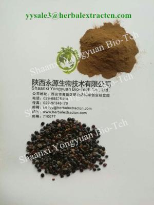 China Chinese herbal extract manufacture, natural herb beverage ingredients, Oriental Raisin Tree Extract,  for drunkenness for sale