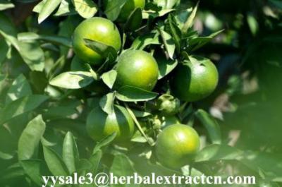 China NHDC(Neohesperidin Dihydrochalcone) sweenteners,  herbal extract manufacture exporter for sale