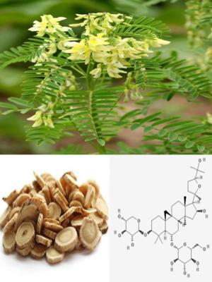 China Manufacturer supply Astragaloside IV 0.3%-98%, CAS No.: 84687-43-4, 100% Astragalus Root Extract, Pharma standard for sale