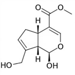 China Gardenia Extract, Genipin 98% HPLC, CAS No.: 6902-77-8, natural ingredient for sale