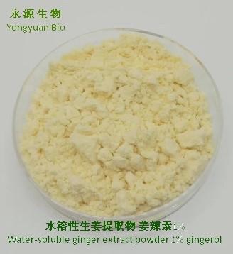 China Ginger Extract Powder, water soluble Ginger Powder, Gingerol raw material, manufacturer, food, cosmetics, drinks for sale