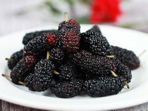 China natural anthocyanidins, Mulberry Extract, Mulberry juice powder, Mulberry anthocyanin, ISO for sale