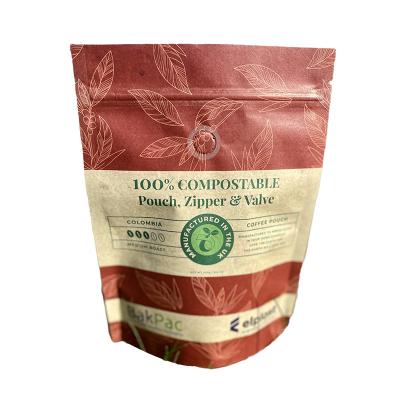China Biodegradable Food Packaging Pouch With Zipper Brown Craft Paper Laminated for sale