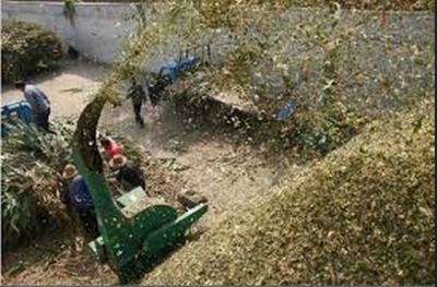 China Máquina de corte da haste do algodão-----0086-18992709063 à venda