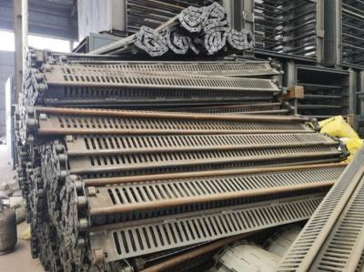 China Continuous drying charcoal balls pellets conveyor briquettes dryer for sale