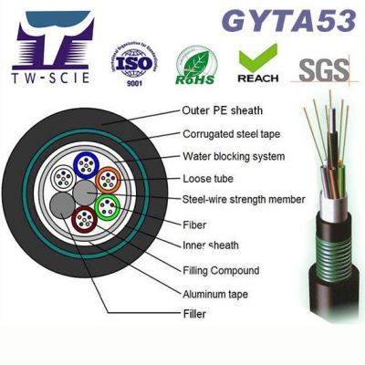 China 24 Cores Outdoor Fiber Optic Cable OFC Armoured Cable GYTA53 for sale
