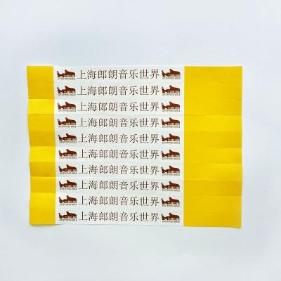 中国 パーソナライズド 防水 タイベック・デュポン紙の腕帯 販売のため