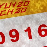 China High Tear Resistance Rectangular Competition Credential Tags for Customer Requirements for sale