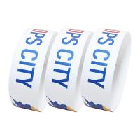 China Full Color Printing and Adjustable Wristband Customized for Customized Customer Needs for sale