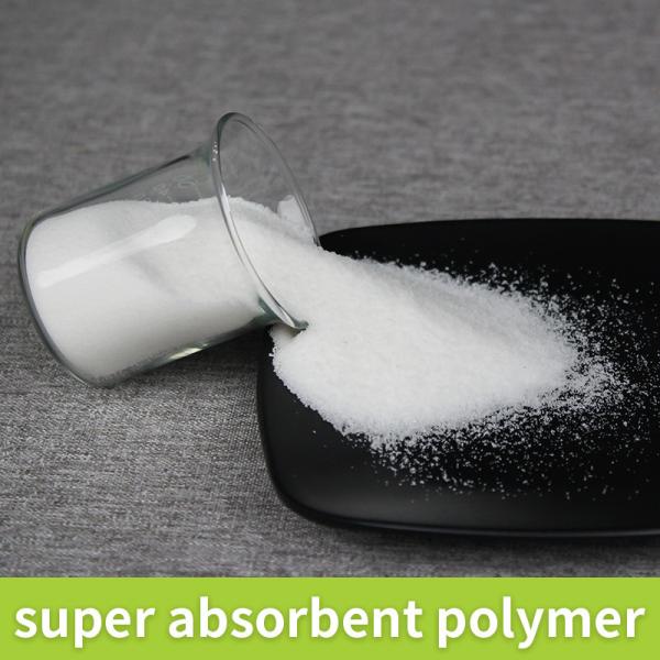 Quality Environmentally Friendly Sap Super Absorbent Polymer 9003-04-7 Sap Sodium for sale