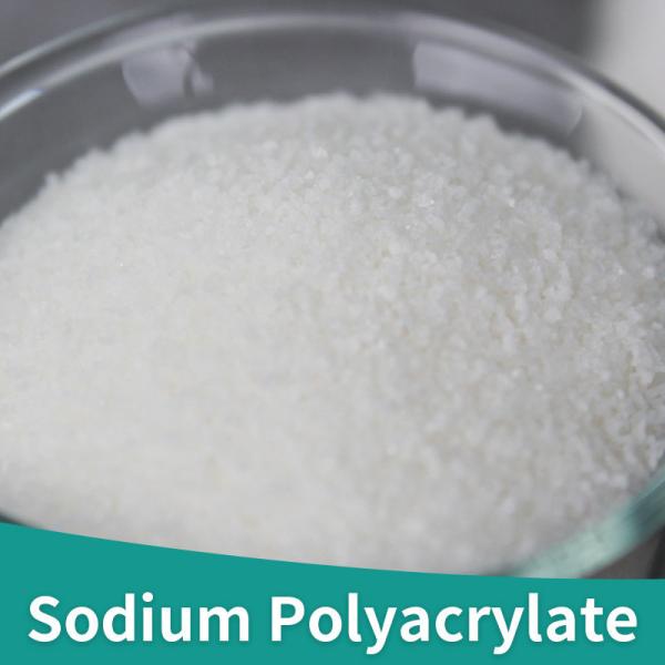 Quality Industry Grade Sodium Polyacrylate High Absorption Capacity Polyacrylic Acid Sodium Salt 9003-04-7 for sale