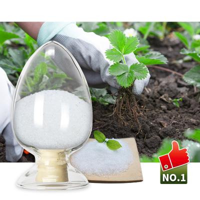 Cina Polvere di SAP (Super Assorbent Polymer) a base di amido, purezza 99,9% in vendita