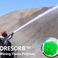 China Environmentally Friendly Tailor-Made Super Absorbent Polymer (SAP) for Reliable Mining Use for sale