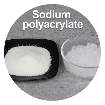 China Industrial-Grade Sodium Polyacrylate Super Absorbent (CAS 9003-04-7) – Enhanced Sodium Polyacrylate Polymer Technology for sale