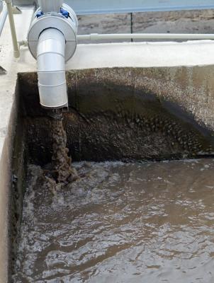China Non-toxic Super Absorbent Polymer (SAP) for Rapid Absorption and Leak-Proof Gel Formation in Sludge Solidification for sale
