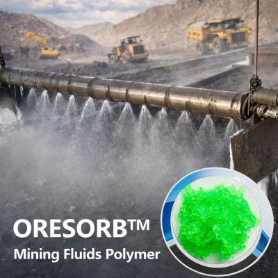 China Custom-Engineered Super Absorbent Polymer for High-Capacity Water Absorption in Mining with Environmentally Responsible Design for sale