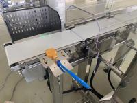 China High Speed CheckWeigher for product auto weight sorting process for sale
