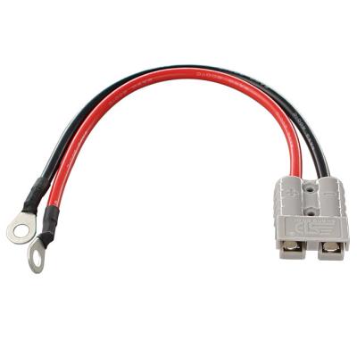 Cina Lunghezza di cavo della batteria dell'invertitore di CC 600V 50A 500mm con Anderson Connector in vendita