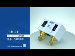 Stainless steel Dual Adjustable Pressure Switches For Water Pump