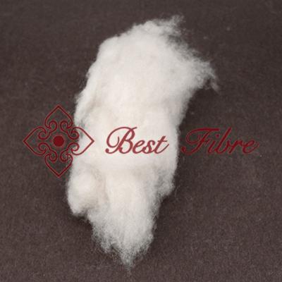 China Light camel hair for sale