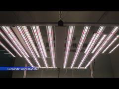 Commercial led grow light 1000W 800W 480W