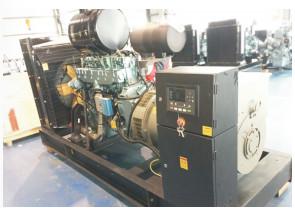 China Van de de Generatorreeks 250kW van het Smartgenbiogas de Generatorreeks van LPG Te koop