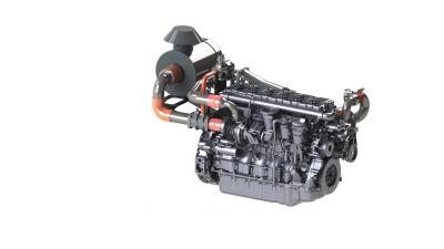 Cina Generatore raffreddato ad acqua elettrico del generatore 1500rpm del biogas di Syngas in vendita