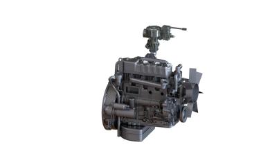 Cina Ghisa della lega di SAE Lpg Gas Engine Motor 1500rpm 3.0L N95054Z in vendita