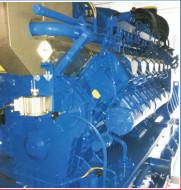 Cina Generatore raffreddato ad acqua insonorizzato elett. del gas/Biogas/LPG del gruppo elettrogeno 800kW Natutal in vendita