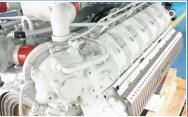 Cina Gruppo elettrogeno insonorizzato del gas naturale del generatore 230V 500kw di Mecc in vendita