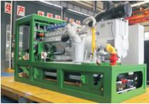 Cina Gruppo elettrogeno insonorizzato del gas naturale del generatore 230V 500kw di Mecc in vendita