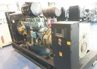 Cina generatore del sistema di raffreddamento ad acqua del gruppo elettrogeno del biogas 1500/1800rpm 200kW in vendita