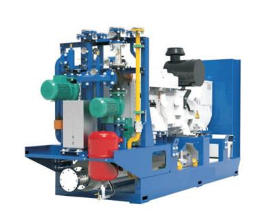 Cina gruppo elettrogeno standby del gas/Biogas/LPG di Natutal del generatore 75kw in vendita