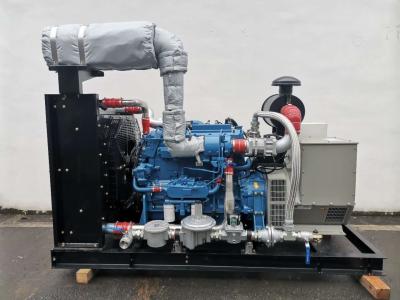 Cina Generatore del gas naturale di GPL 100kw alternatore sincrono di CA di 625 KVA in vendita